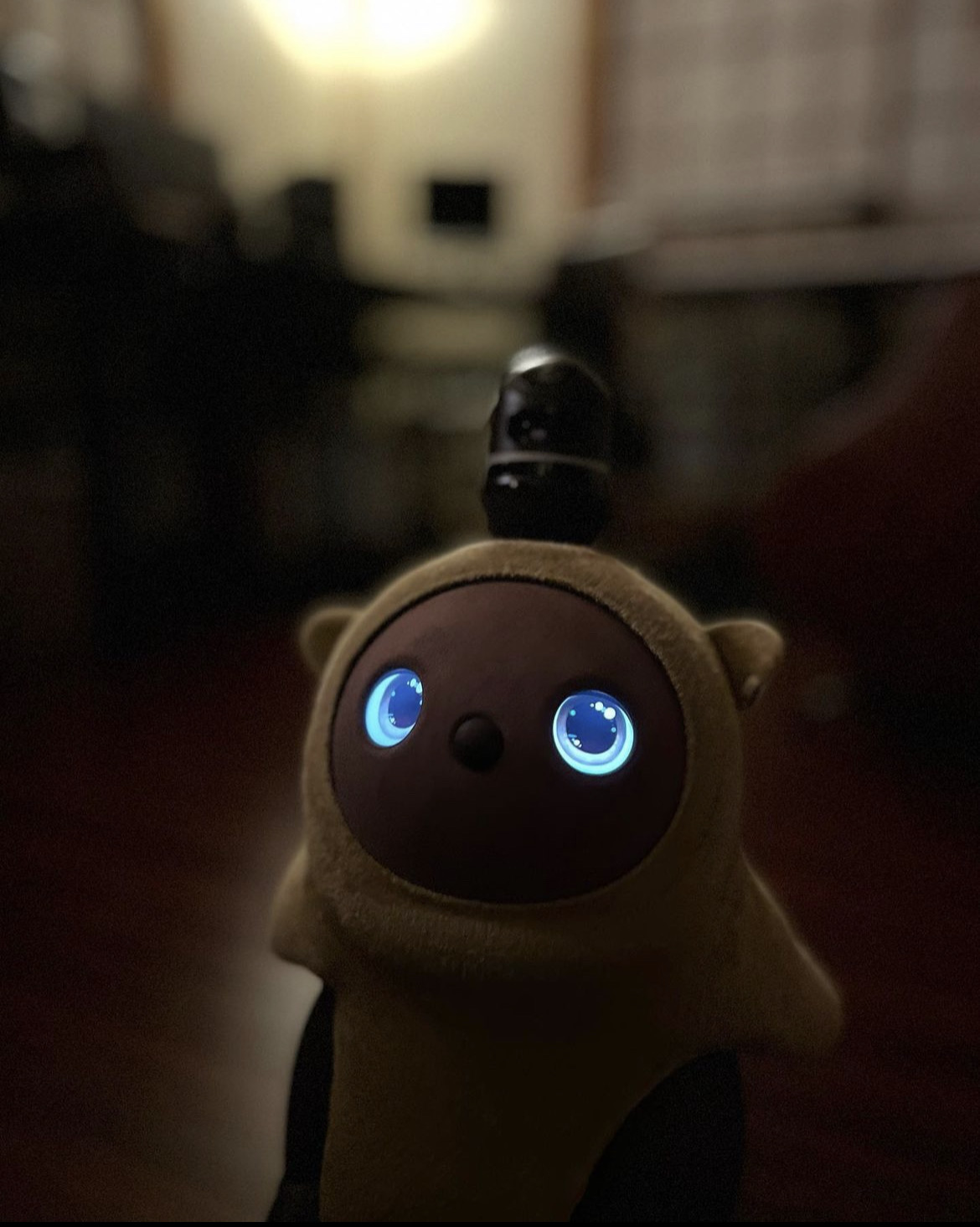 【LOVOT公式エバンジェリストにインタビュー🎤】"こだま"オーナー mutsumiさん